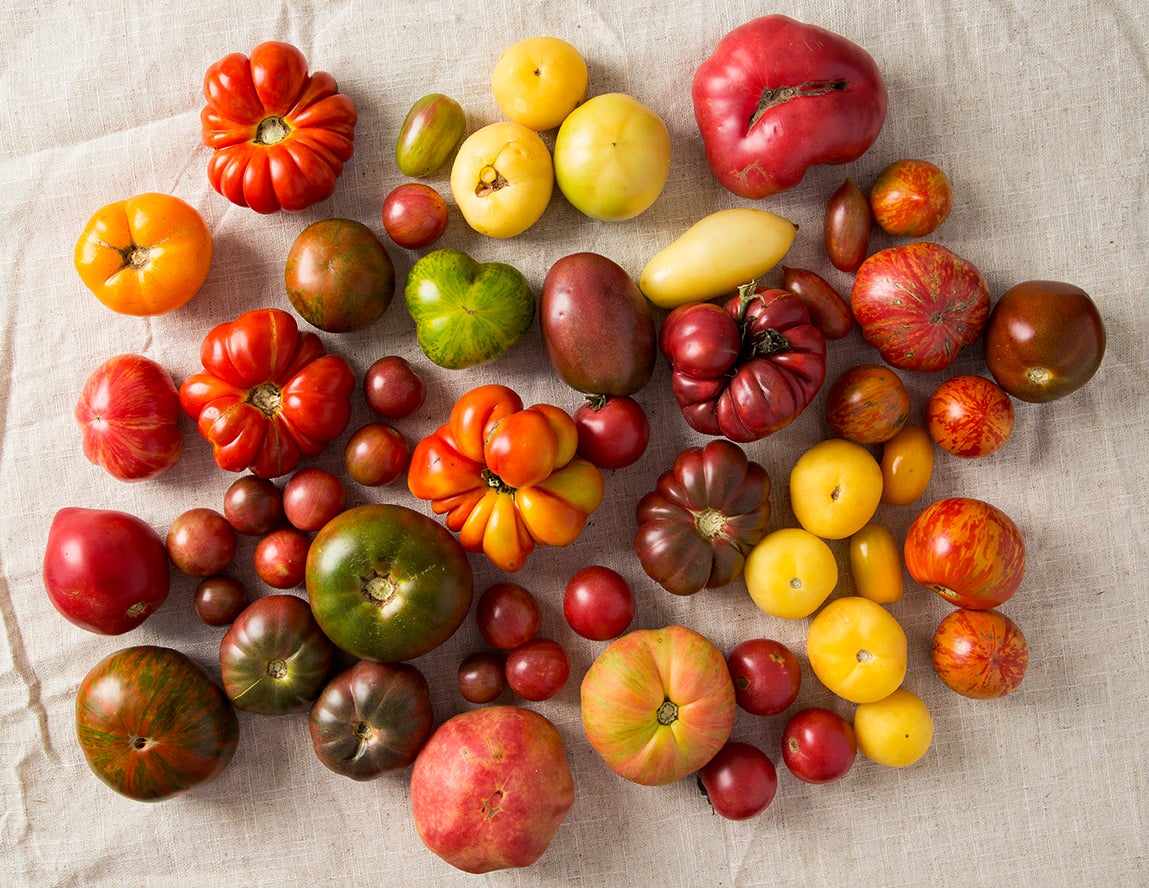 TASTE | tomatoes2 | TASTE