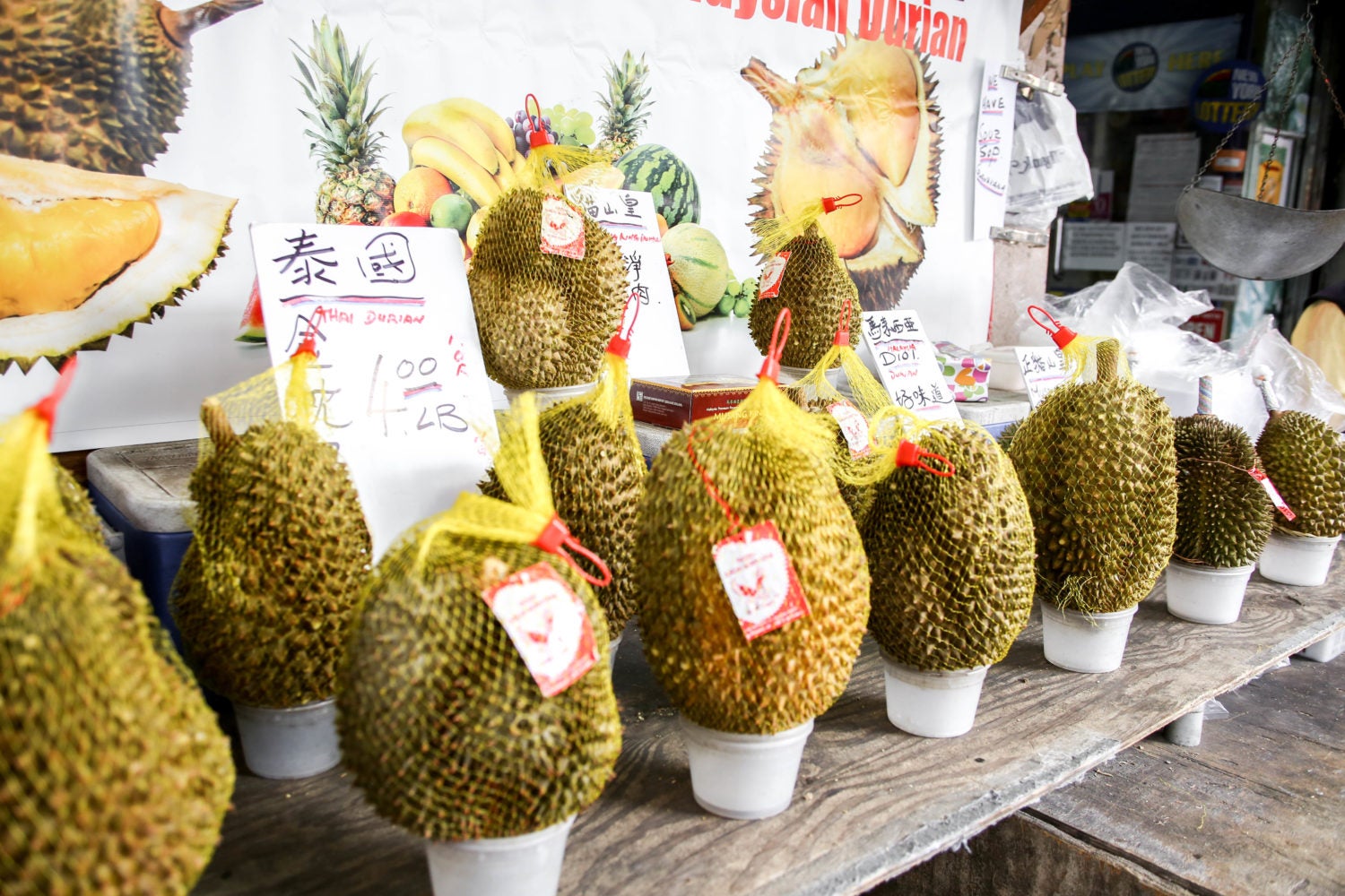 The Shop Around the Corner: Produce Markets of New York City | TASTE