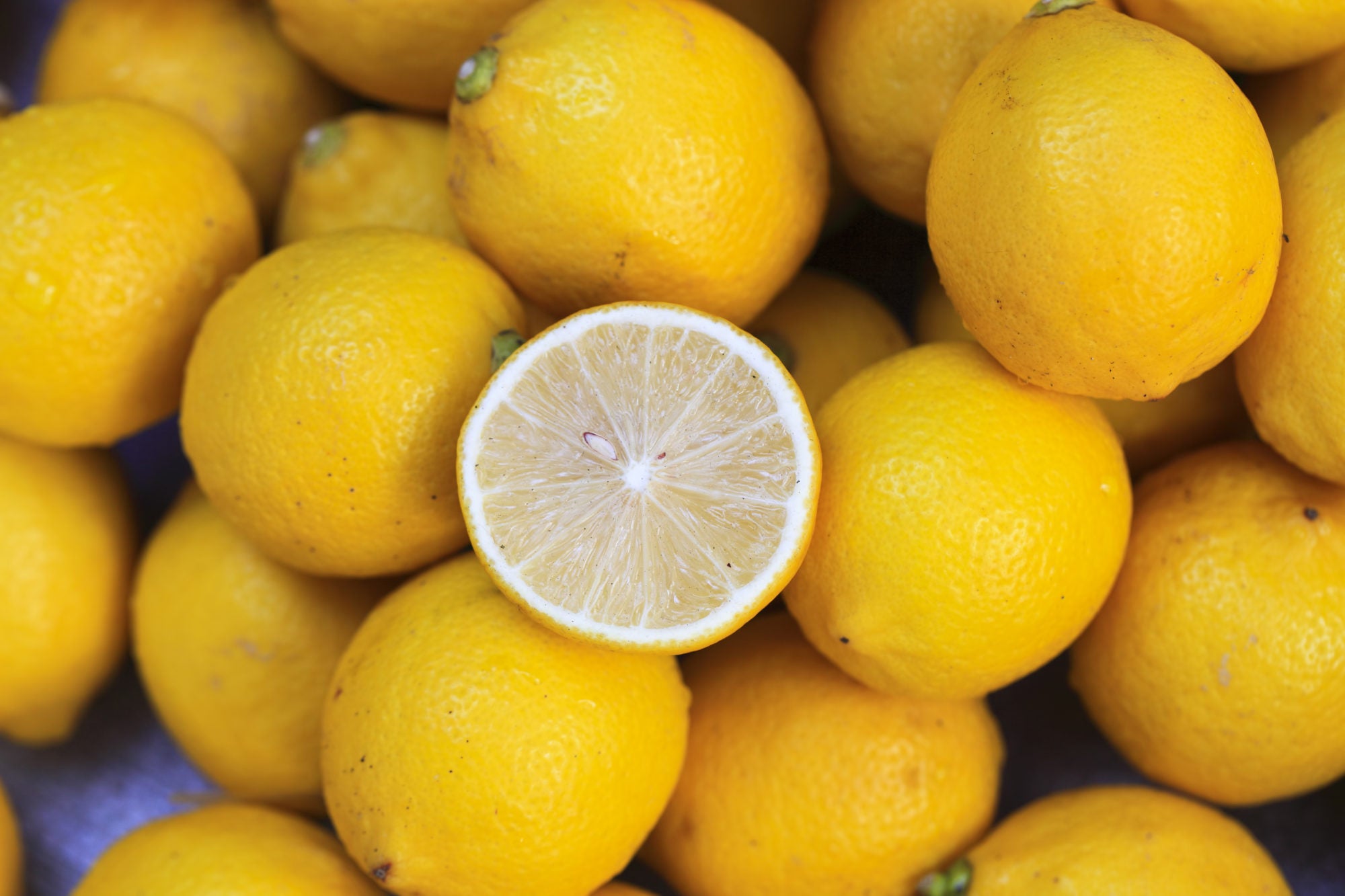 A Man, a Plan, a Lemon, China: The Ballad of Frank Meyer | TASTE