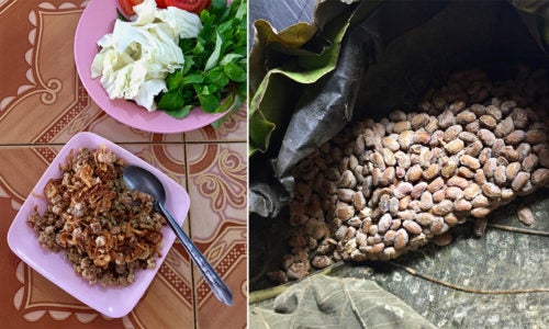 Beef Bile and Bitter Greens: How to Write and Photograph a Cookbook in ...