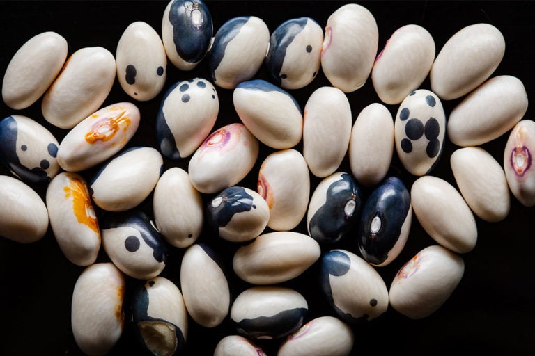 Feel Free to Freeze Your Beans | TASTE