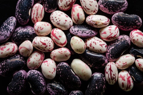 Feel Free to Freeze Your Beans | TASTE